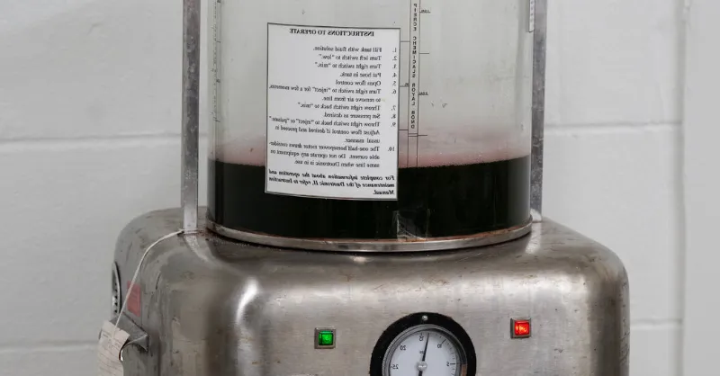 ¿Qué hay detrás del proceso de embalsamamiento?