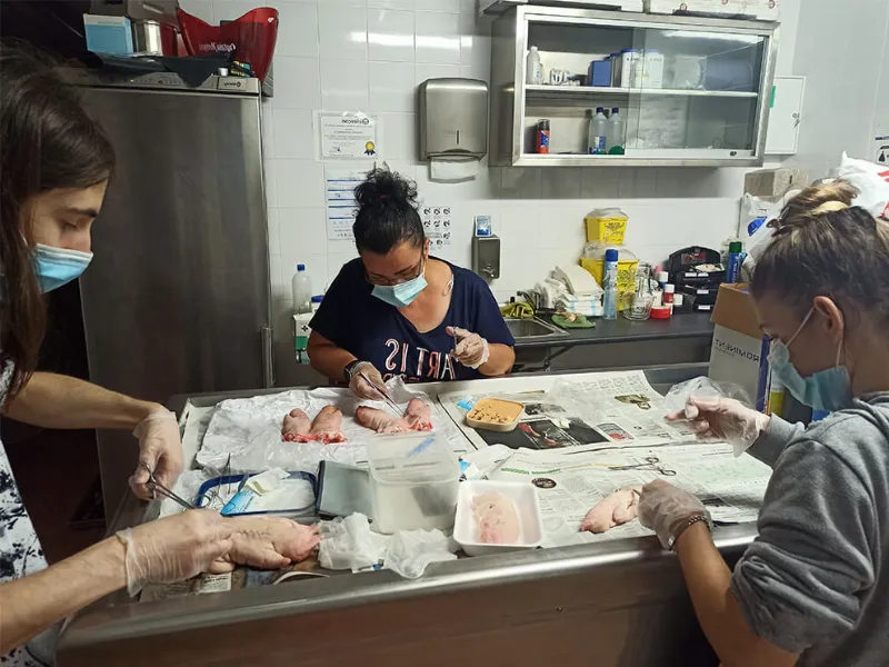 Los pros y contras del embalsamamiento